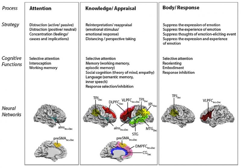 The Neuroscience of Emotional Regulation
